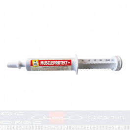 Vitalstyle Muscleprotect+ Paste - DocHorse
