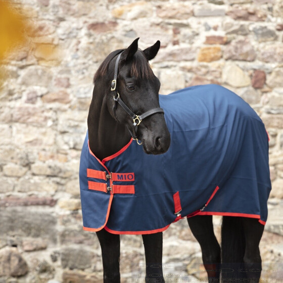 Amigo Mio Stable Sheet - DocHorse