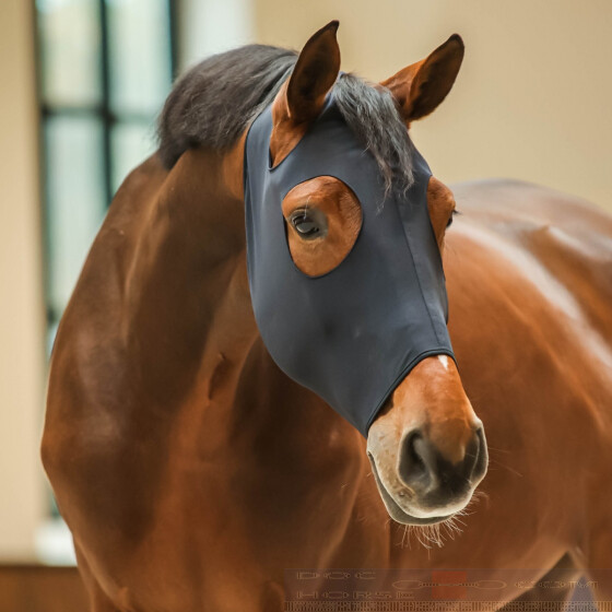 Catago Mask Fir-Tech - DocHorse