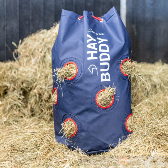 Dominick Hay Buddy - DocHorse