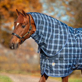Rhino Stable Rug hood 150 g - DocHorse