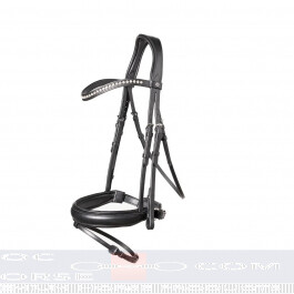 TRUST Bridle Verden - DocHorse