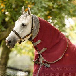 Dominick Cosy Hood Bordeaux - DocHorse