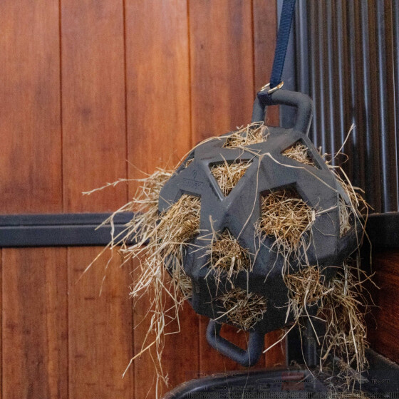 Kentucky Relax Horse Play & Hay Ball - DocHorse