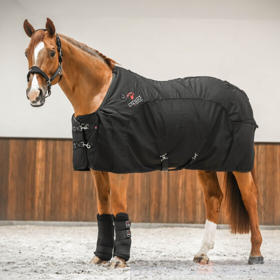 Catago Fir-Tech Rug - DocHorse