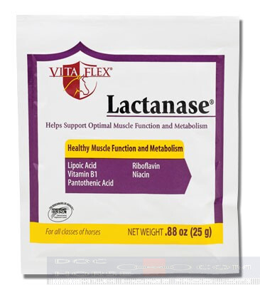 LACTANASE POWDER - DocHorse