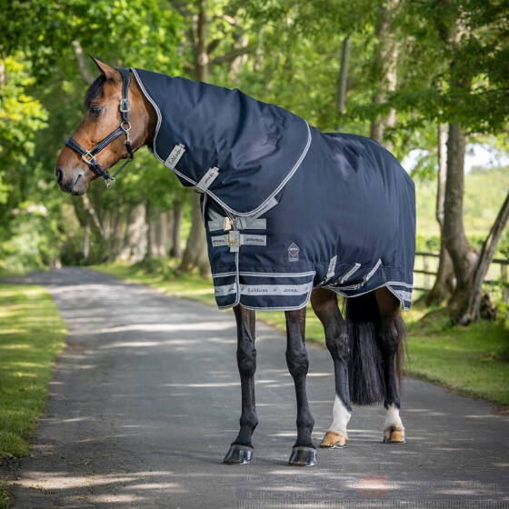 LeMieux Arika Storm-Tek Turnout Rug 350g - DocHorse