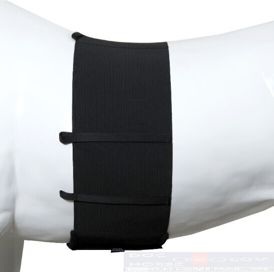 ONE Body Bandage - DocHorse