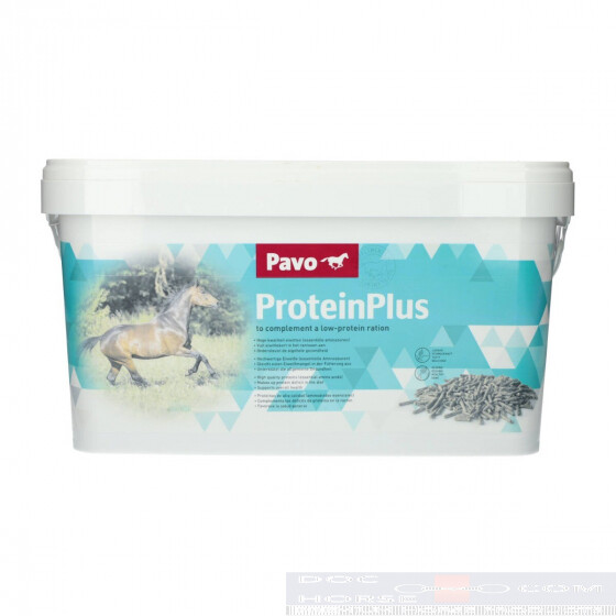 Pavo ProteïnPlus - DocHorse