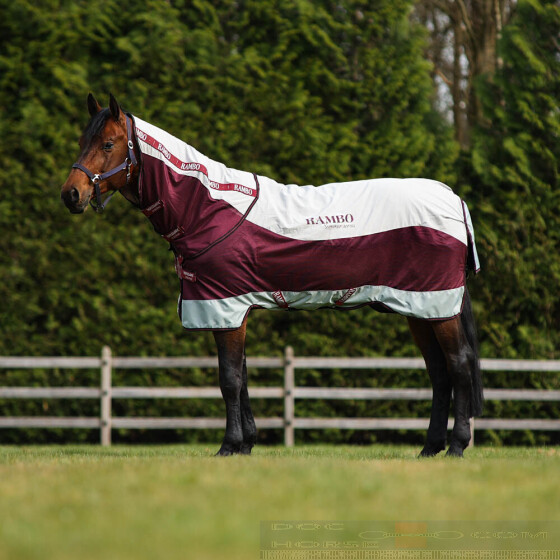 Rambo Summer Series Turnout - DocHorse