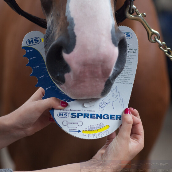 Sprenger bit tool - DocHorse