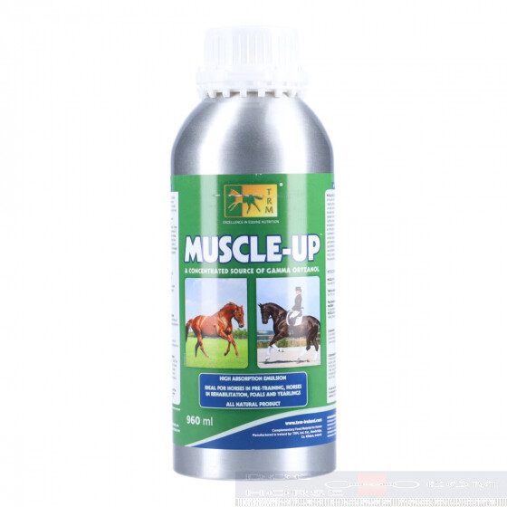 TRM MUSCLE-UP - DocHorse