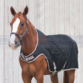 Horseware Amigo Walker - DocHorse