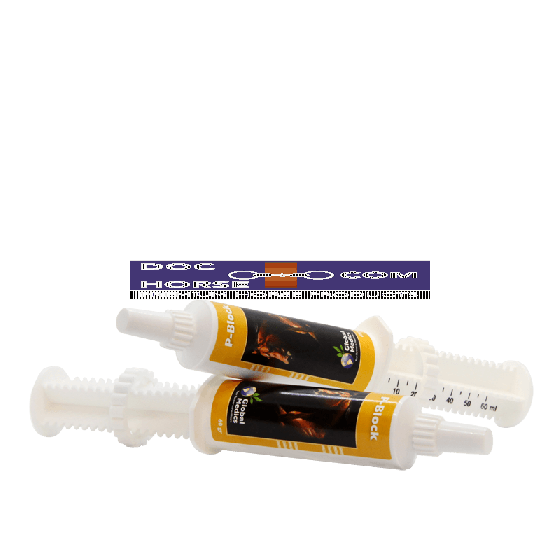 GLOBAL MEDICS P BLOCK PASTE - DocHorse
