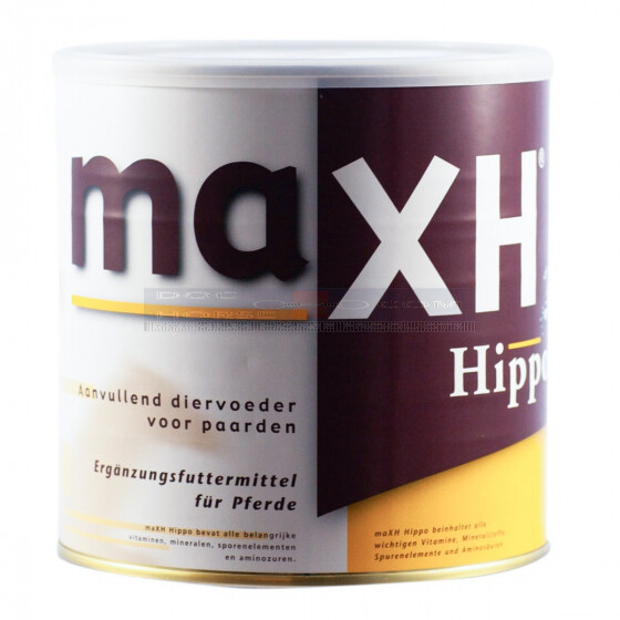MAXH HIPPO - DocHorse